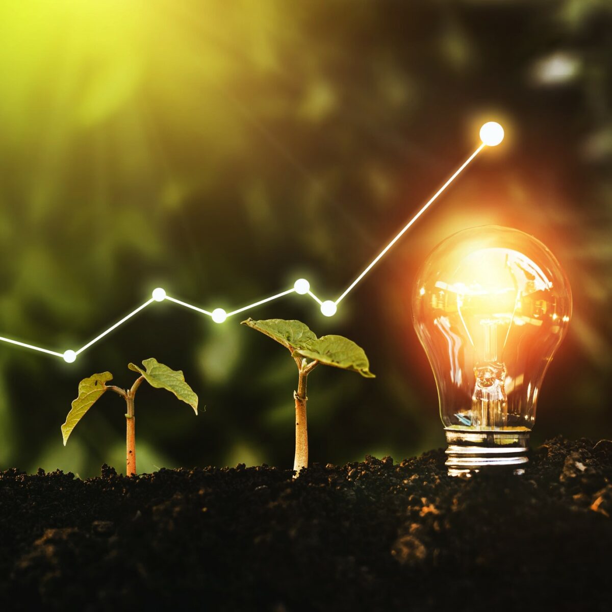 ORGANIC FERTILIZERS ENSURE LONG-TERM SOIL FERTILITY - Benefert