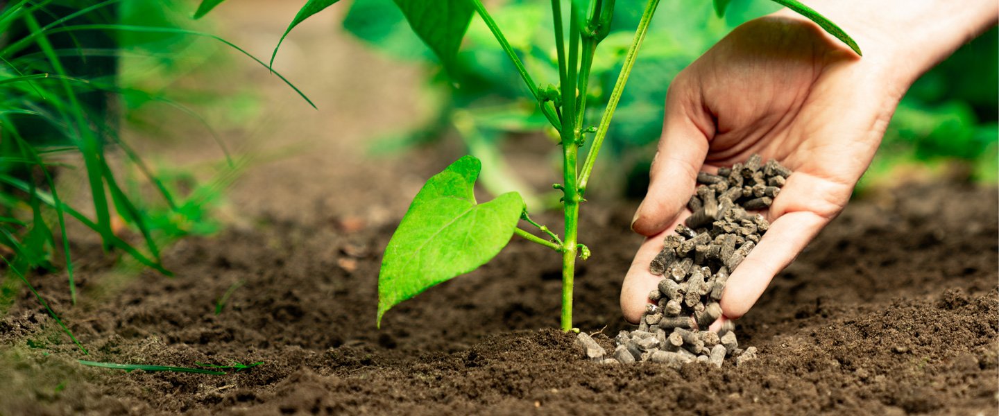 Organic Fertilizers and Biostimulants